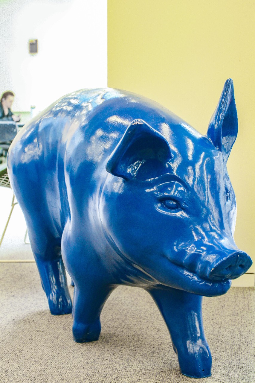 Gallery | University of Cincinnati